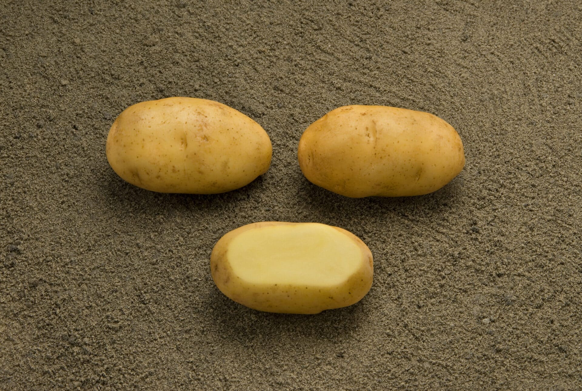 Variedades - Potatoes International